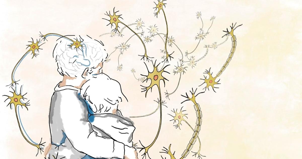 Affective touch perception - why cuddling is so nice | Long Night of ...