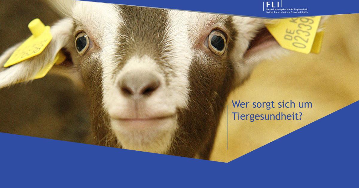 Who cares about animal health? | Long Night of the Sciences Jena